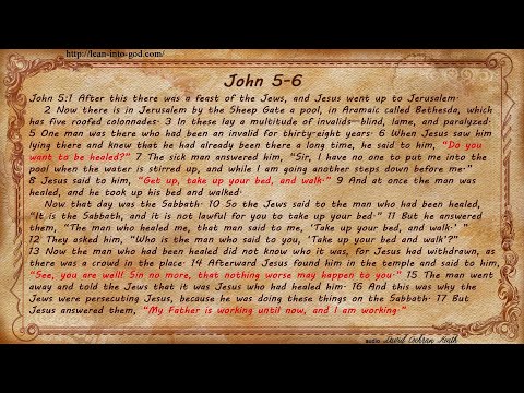 John 5-6
