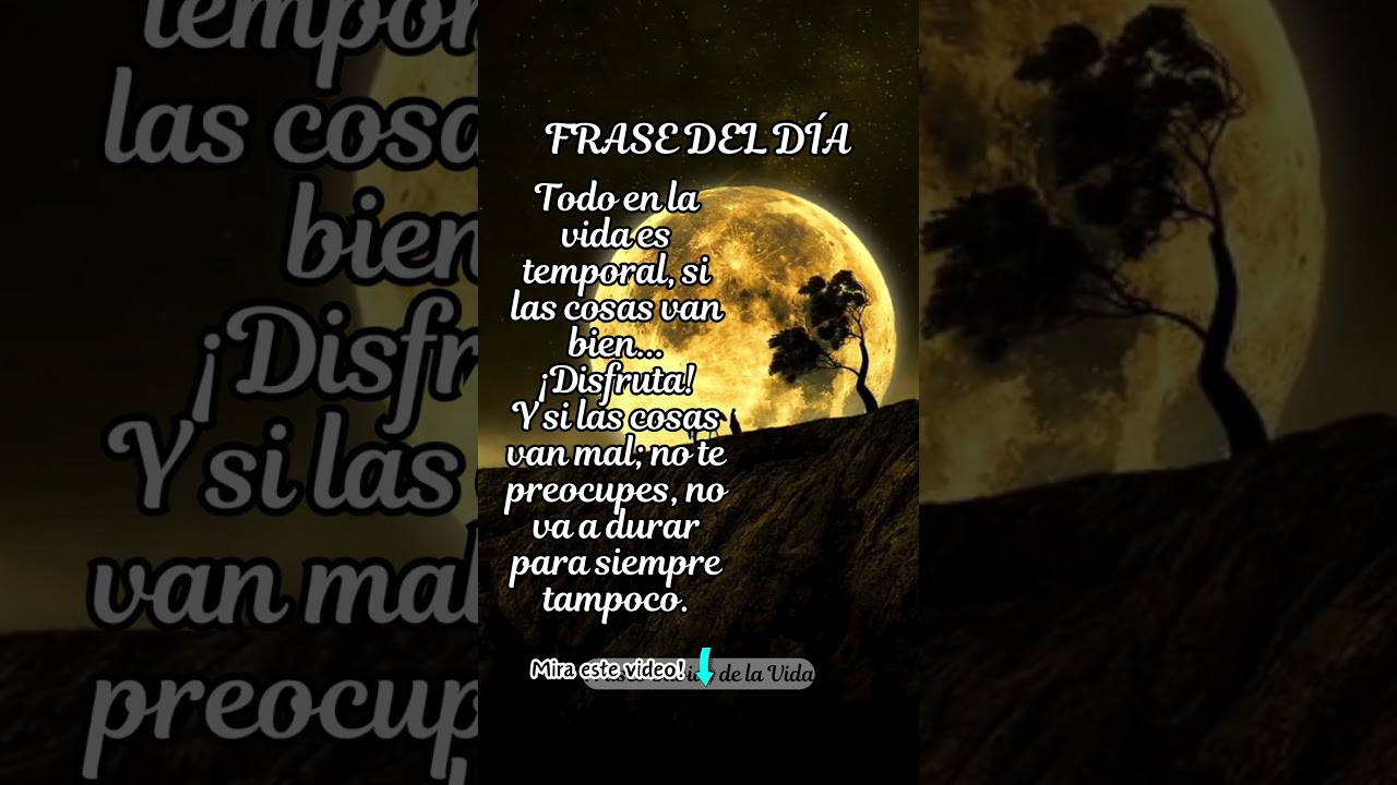 FRASE DEL DÍA/ Frases para reflexionar #frases