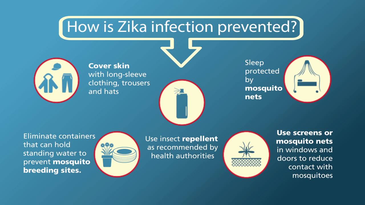 Zika Animated Infographic