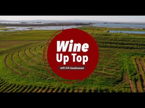 An Introduction to My World of Wine
