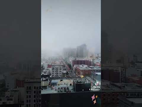 Karl the fog