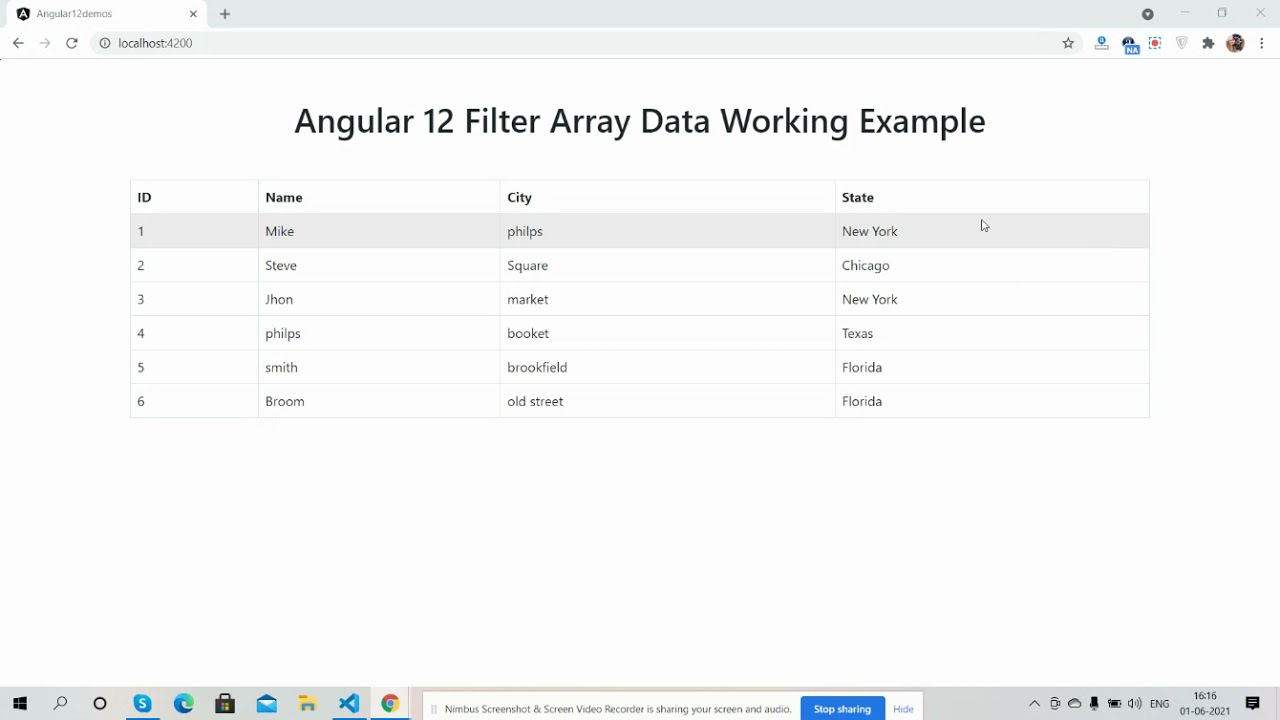 Angular 12 Filter Array Data Working Demo