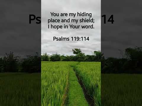 Psalms 119:114 II Word of God