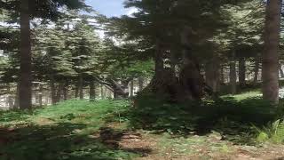 SKYRIM VR - ULTRA REALISTIC FOREST at Skyrim Special Edition Nexus ...