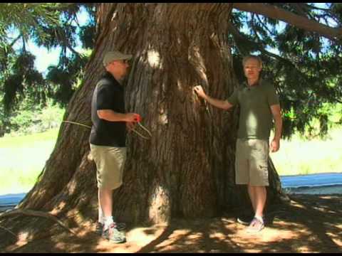 Math In Your World with Dan Clegg Beginning Algebra Lesson 2