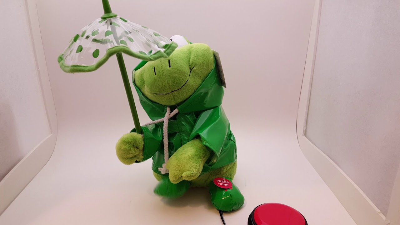 Paddy Switch Adapted Frog