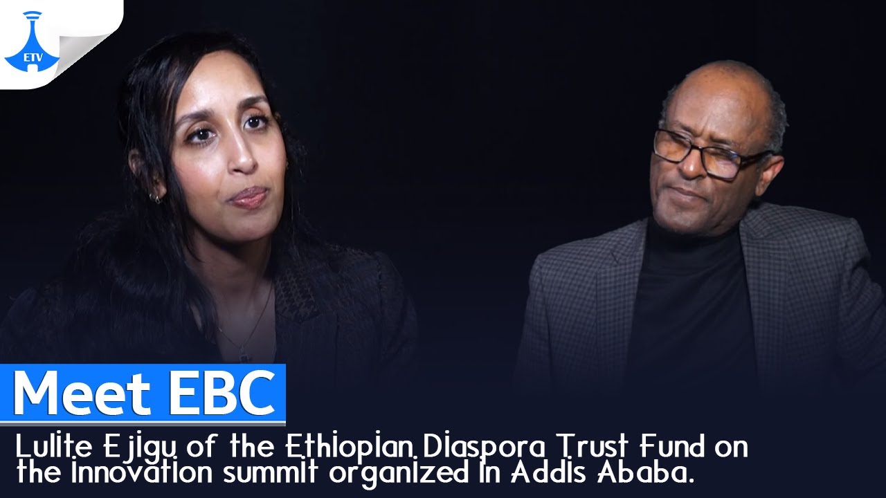 Ethiopian Diaspora Trust Fund's Innovation Summit: A Catalyst for Change | Galaxy.ai