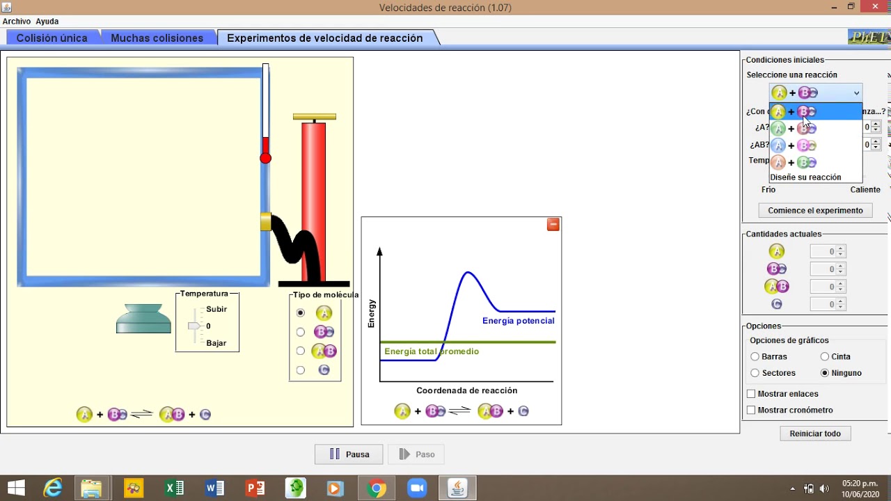 Tutorial Simulador Cinética Química