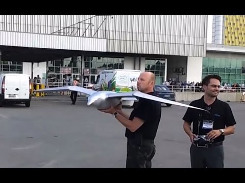 Increible pájaro robot | Oroborus Anaphaxeton