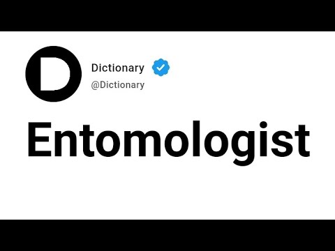 Entomologist Meaning In English