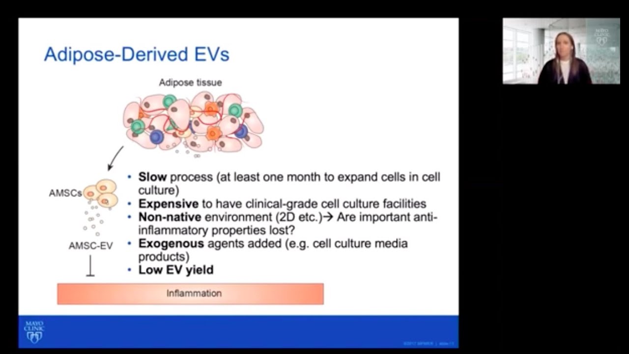Extracellular vesicle therapeutics and diagnostics by Joy Wolfram