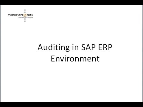 Detailed Training on Auditing in SAP ERP Environment