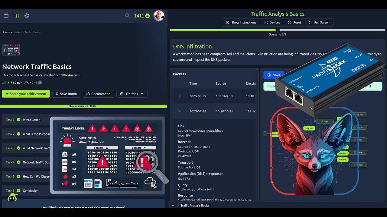 TryHackMe Network Traffic Basics - Full Walkthrough 2025