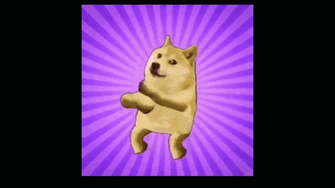 Doge dancing GIF