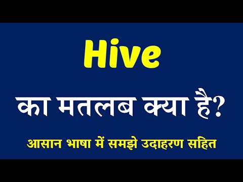 Hive meaning in Hindi // Explained Hive With Using Sentence