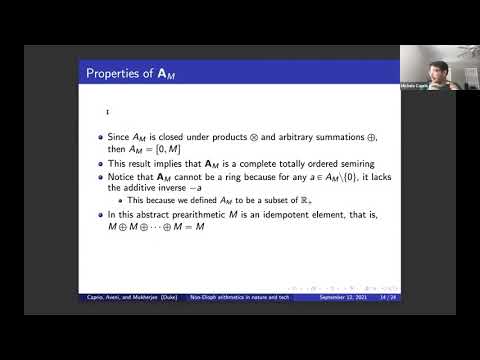 Non-Diophantine Arithmetics as a Tool for Formalizing Information about Nature and Technology by...