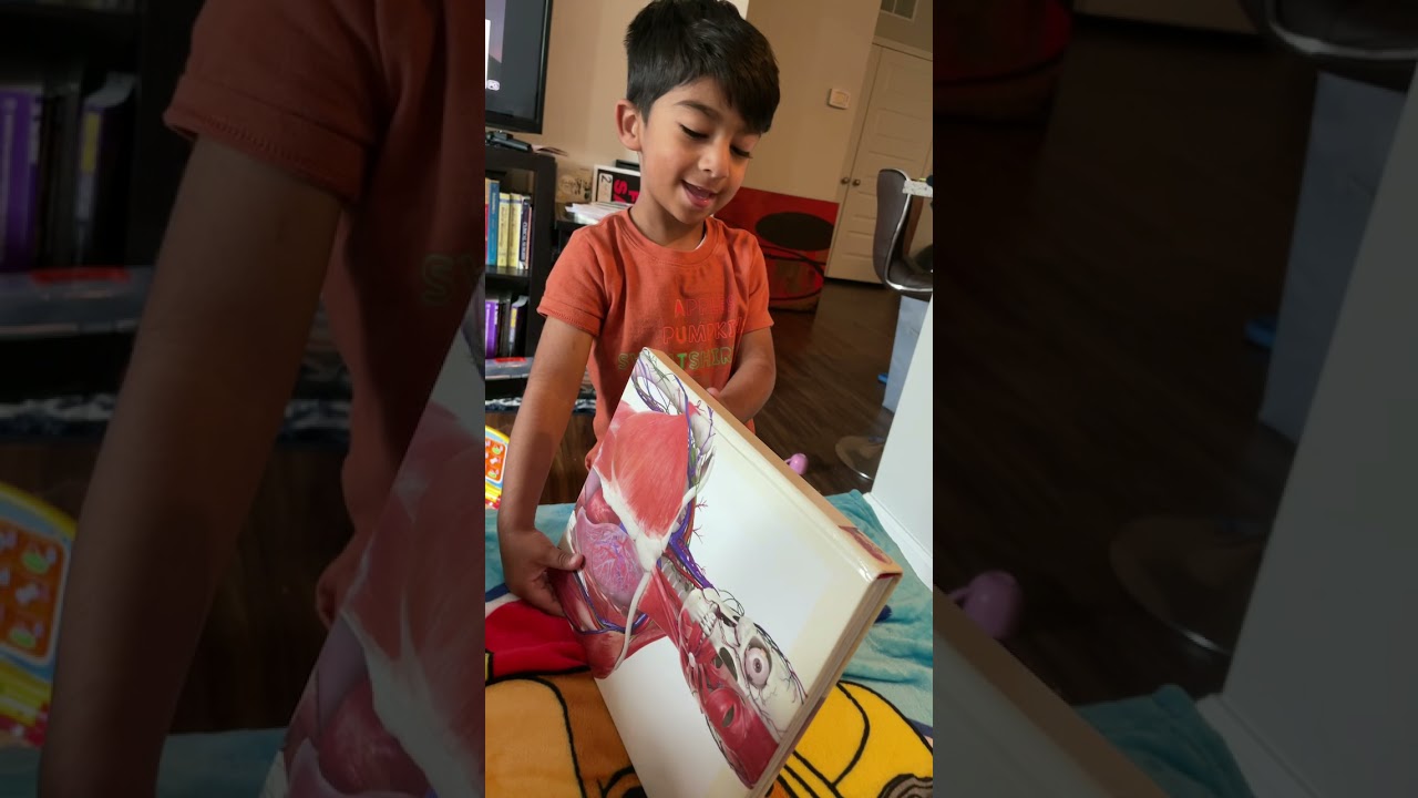 Krishu reading the human body book | kids love for books | Krishu’s Kingdom