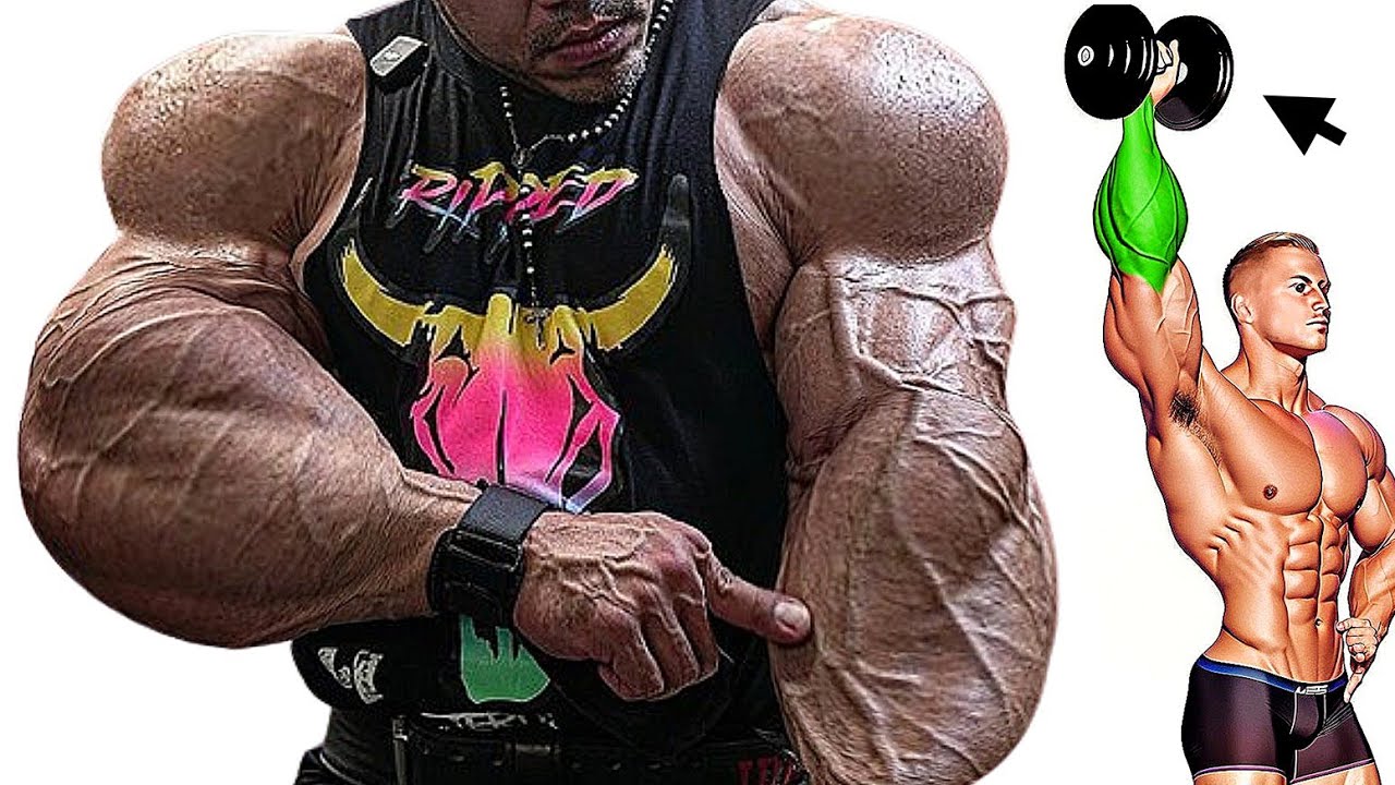 6 Effective Fastest Bigger Forearms Workout