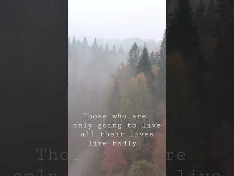 #motivation #autumn #relaxtime #fog #forest