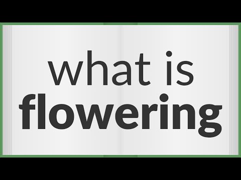 Flowering | meaning of Flowering