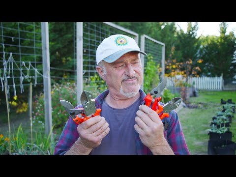 Anvil Vs Bypass Pruners (Secateurs) - Which Is Best?