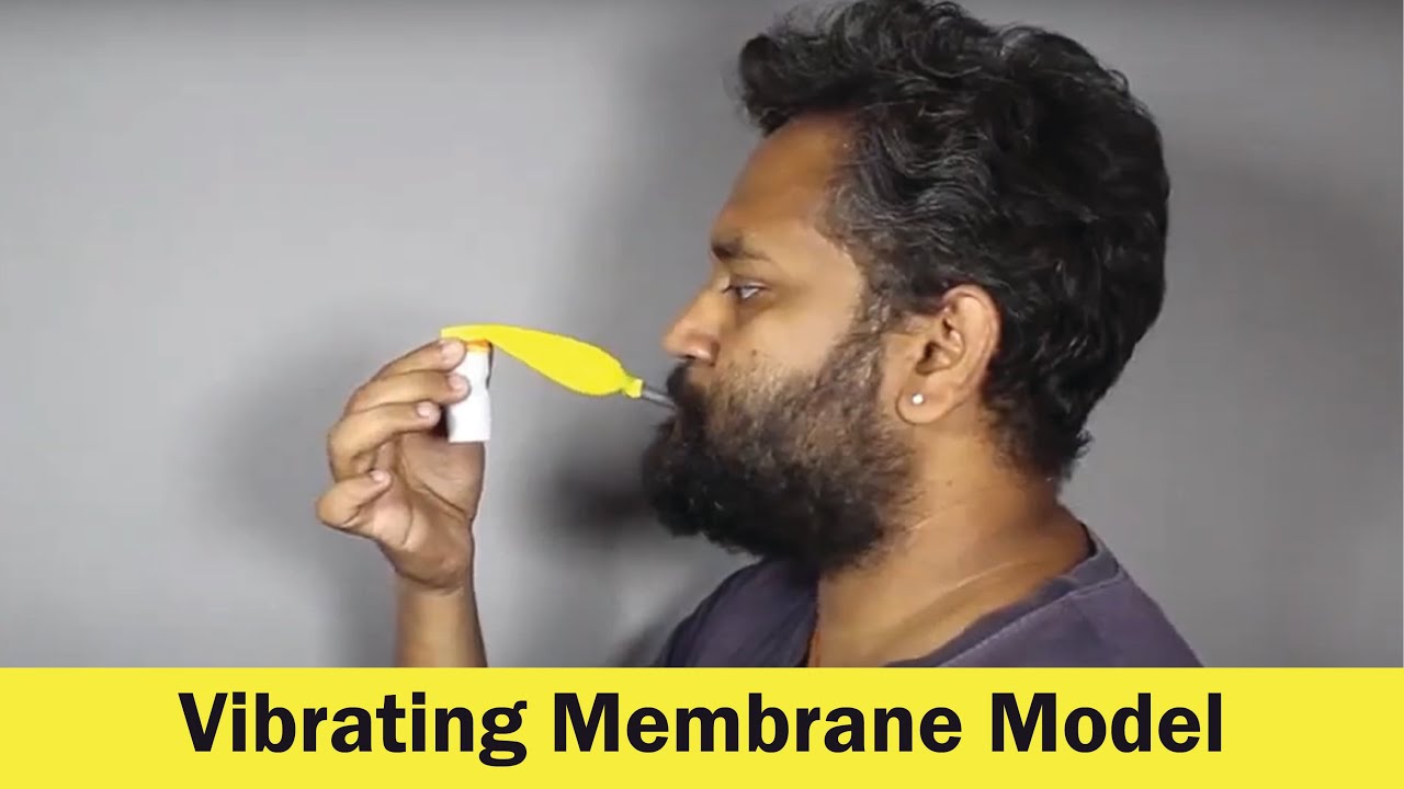Vibrating Membrane Model | DIY Science | ThinkTac