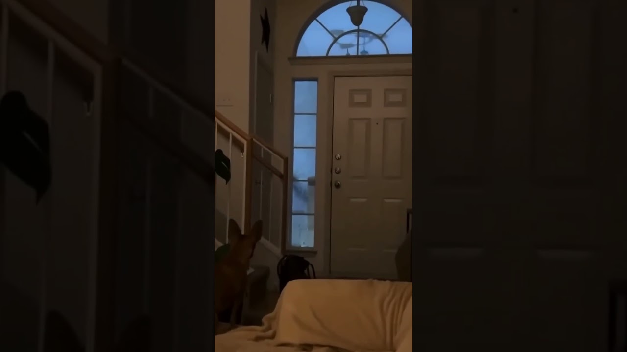Shadow Figure Melts Into Thin Air