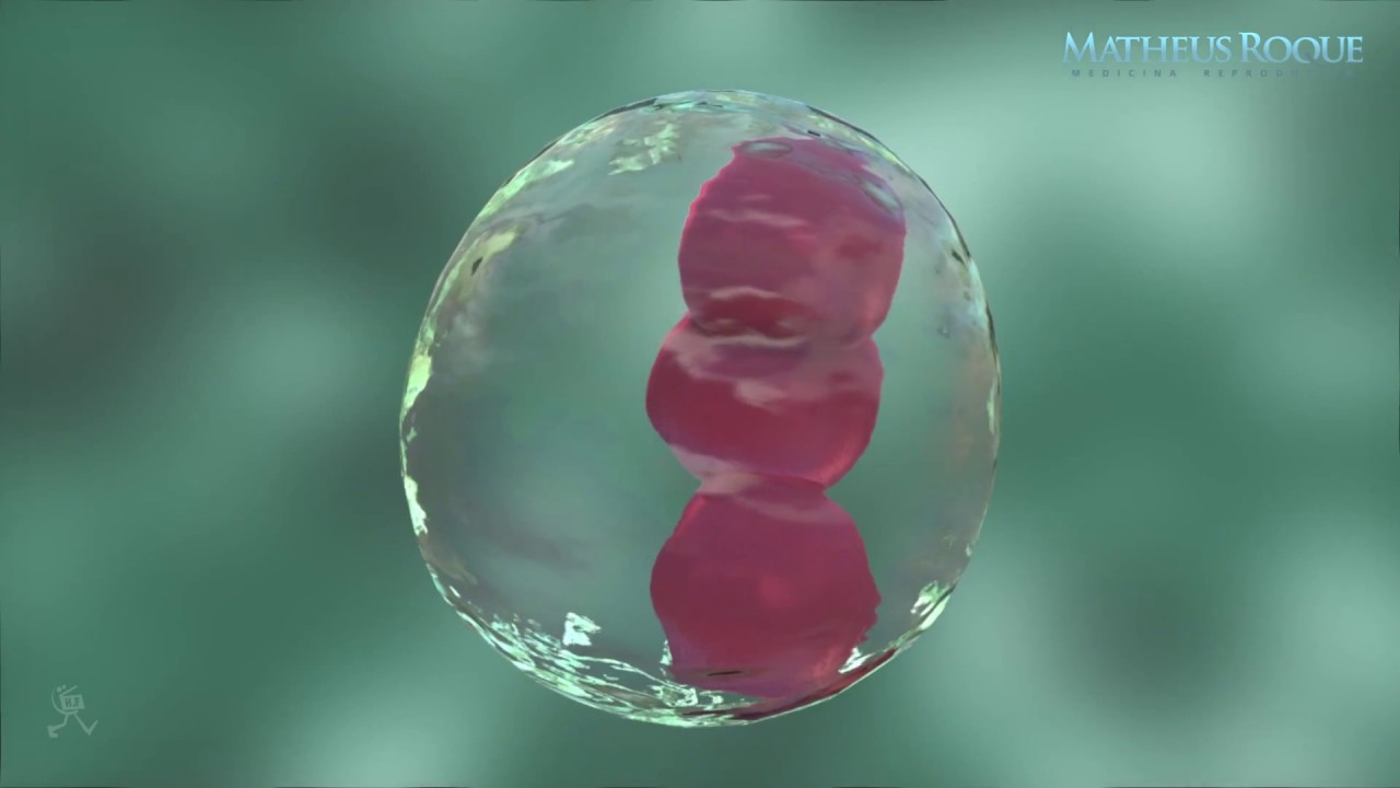 injection medical animation sample use only