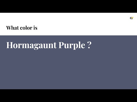 Hormagaunt Purple color #51576f hex color - Blue color - Warm color 51576f
