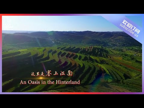 What's “the Oasis in the Hinterland”?