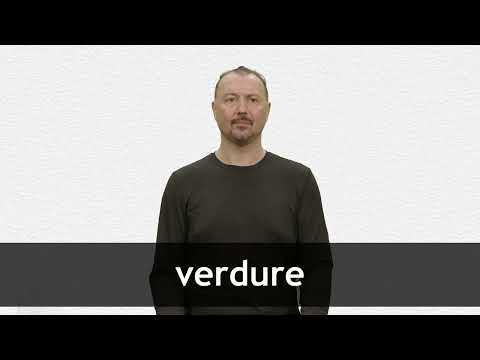 English Translation of “VERDURE” | Collins French-English Dictionary