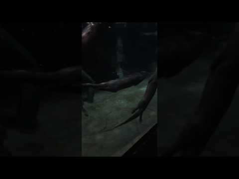 Splish, splash, splosh! – JUMP! magazine for creative kids