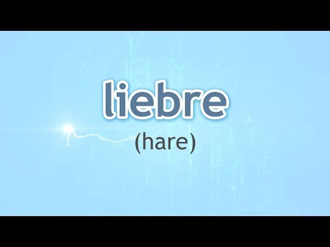 How to Pronounce Hare (Liebre) in Spanish
