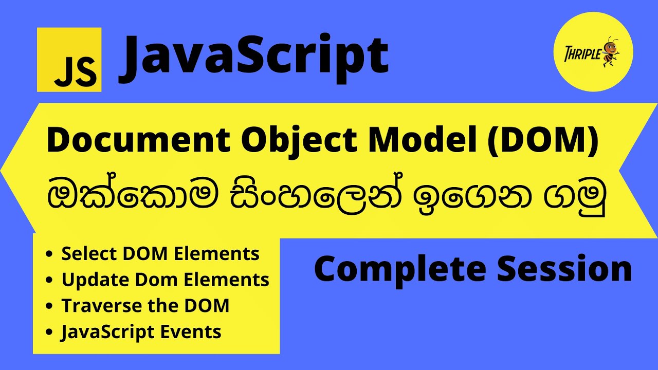 JavaScript Programming 03 - DOM Handling Complete Session - Sinhala