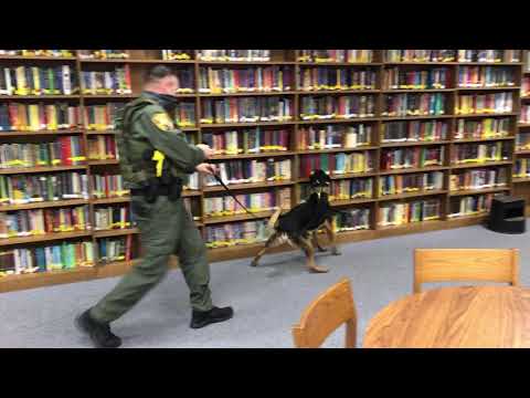Sullivan County K-9 Officer Gary in action