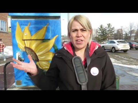Latest Update: National Anti-Fur Day | Radical Citizen Media