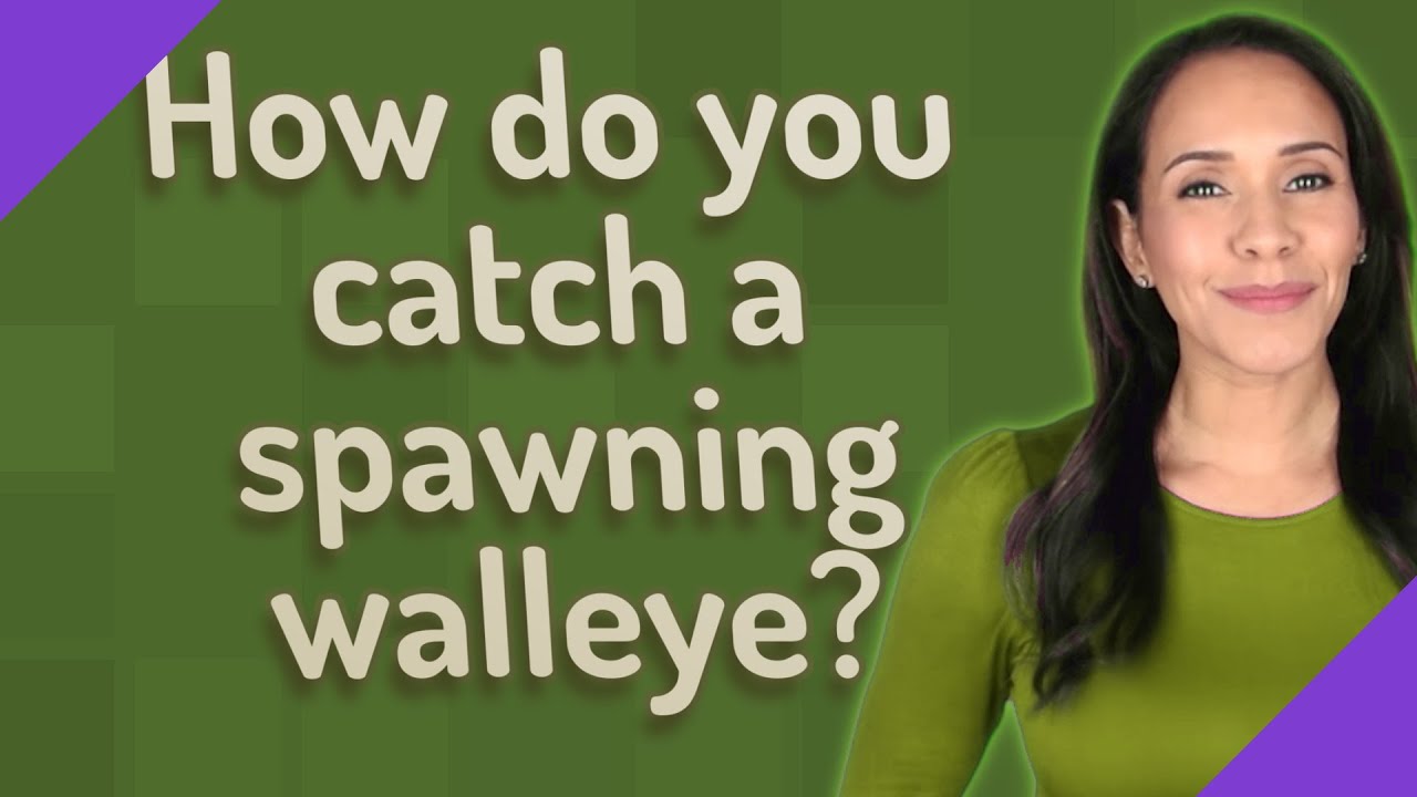 How do you catch a spawning walleye?
