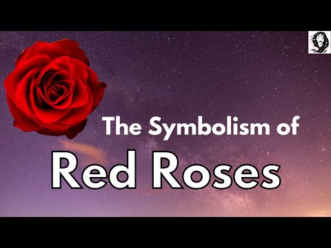 Symbolism of Red Roses - Rose Color Meanings