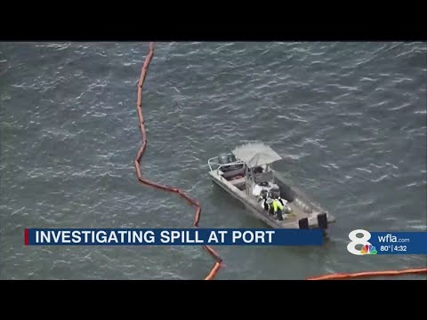'No obvious culprit': Questions remain following Port Manatee oil spill