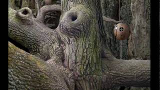 76 Games Like Samorost – Games Like
