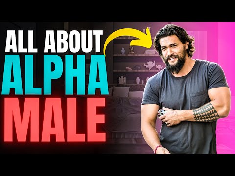 What Is Alpha Male? 15 Signs Of An Alpha Male And Tips To Be Like Him