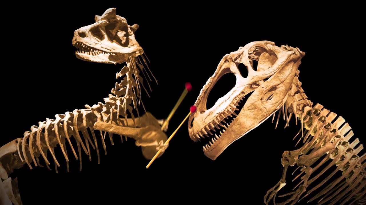 Ultimate Dinosaurs - 