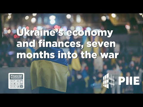 Ukraine’s economy and finances, seven months into the war