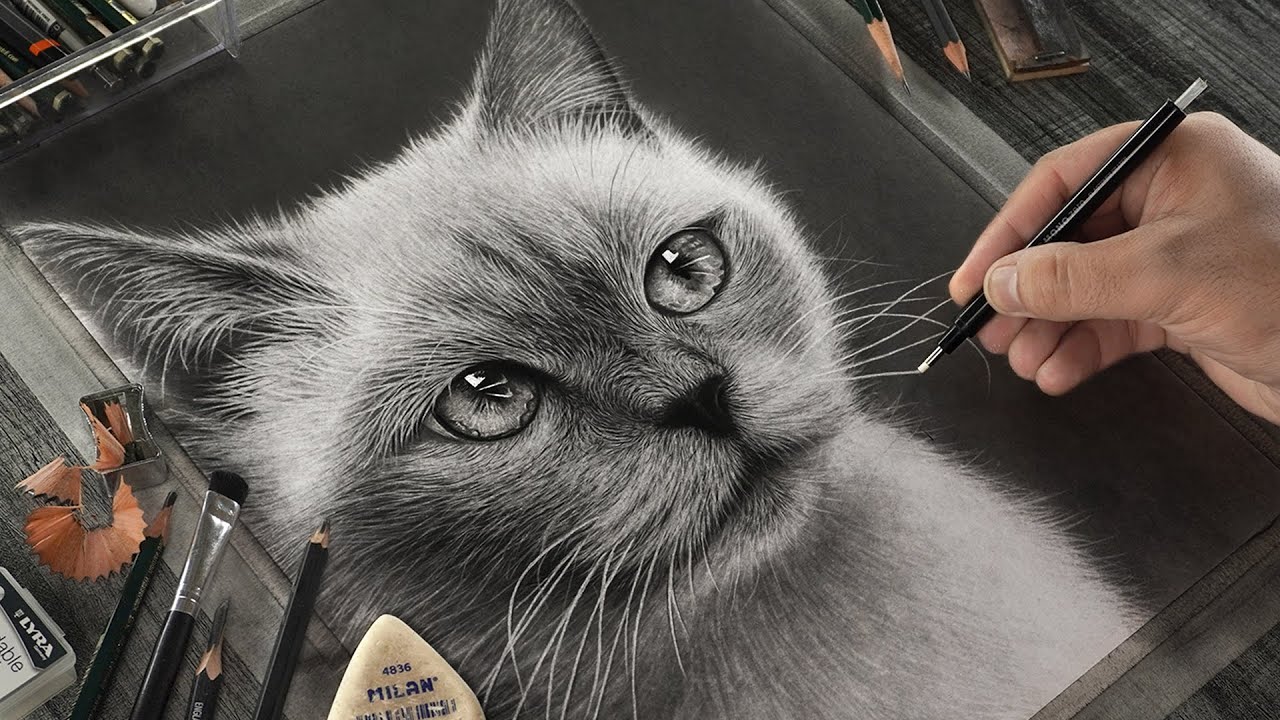 Easy Step by Step Guide for Drawing a Realistic CAT!