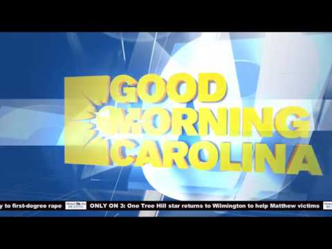 Outdoor Christmas Lights - Christmas Lights Ditto