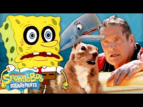 Every Time a Character LEAVES the Water 🏝 | SpongeBob