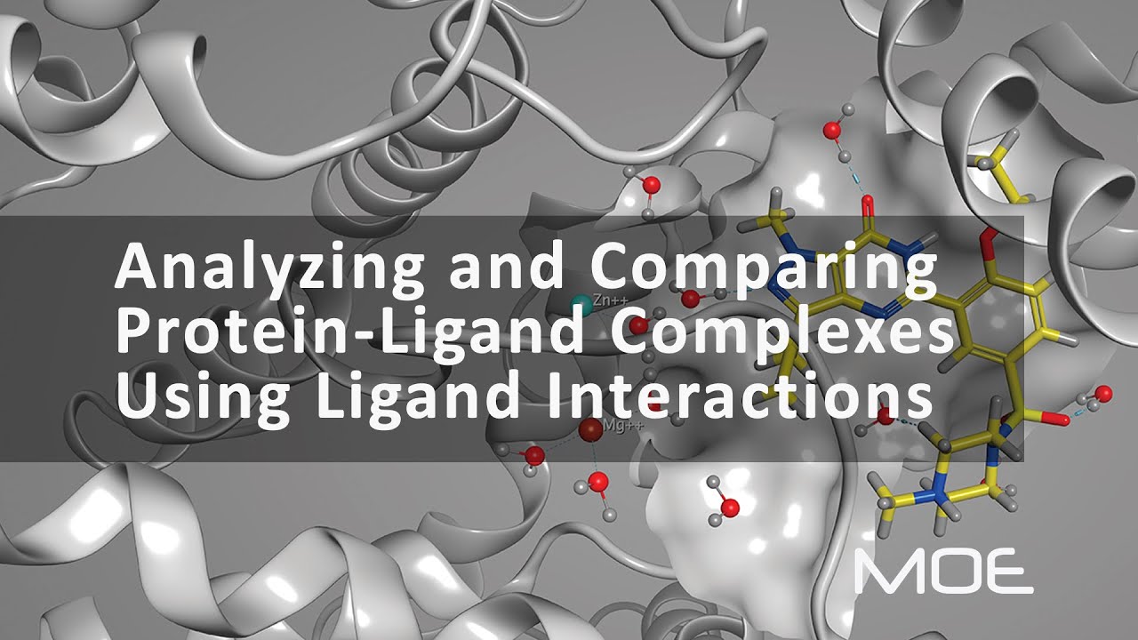 Analyzing and comparing Protein-Ligand complexes using Ligand Interactions