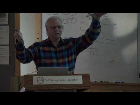 CCG 2015 Stormo FromMotifsToRegulatoryNetworks
