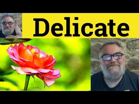 😎Delicate Meaning - Delicately Defined - Delicate Examples - Delicate Definition Delicate Delicately