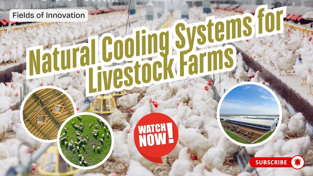 12 - Natural Cooling Systems for Livestock Farms - Sustainable Farming Solutions